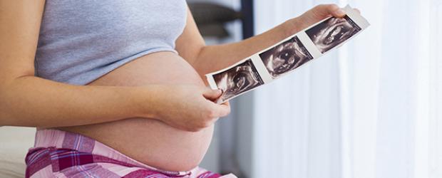 Die Schwangerschaft: Einzelne Phasen voller Wunder und Leben