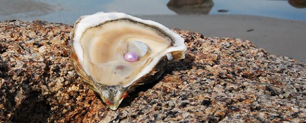 Beliebtes Symbol: Vornamen, die Perle bedeuten