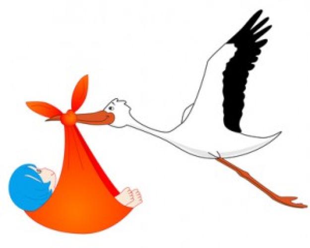 Bringt der Storch die Babys? Der Storch und die Geburt